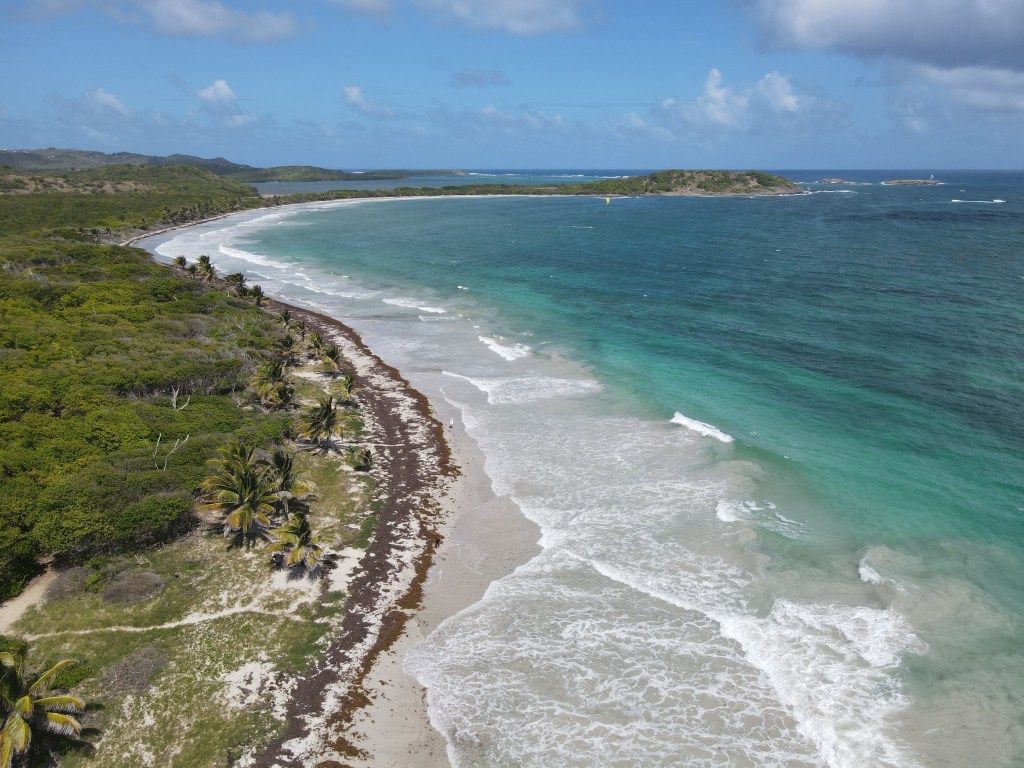 Randonnée à la Savane des Pétrifications entre la plages Salines et l ...